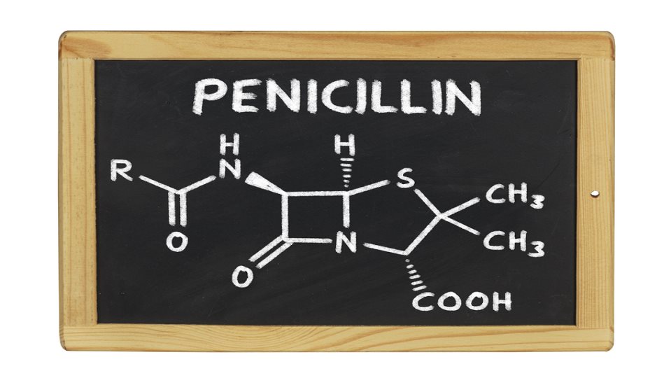 Penicillin at emaze Presentation