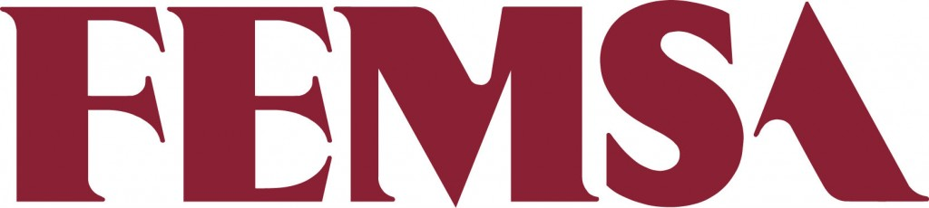 FEMSA on emaze