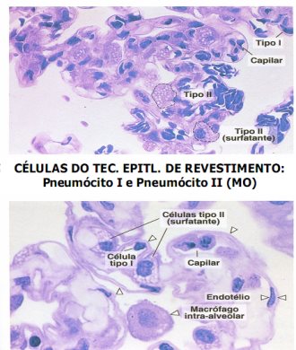 Presentation Name on emaze