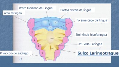 Presentation Name on emaze