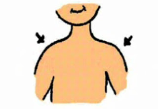 Las partes del cuerpo humano Explorando y conociendo el on emaze