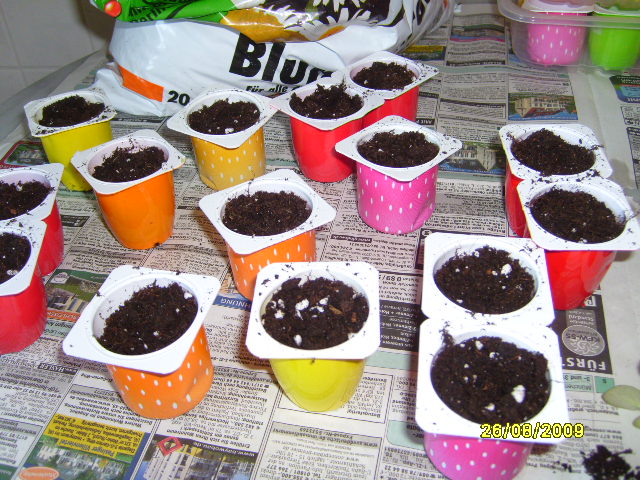 Danone Imagenes on emaze