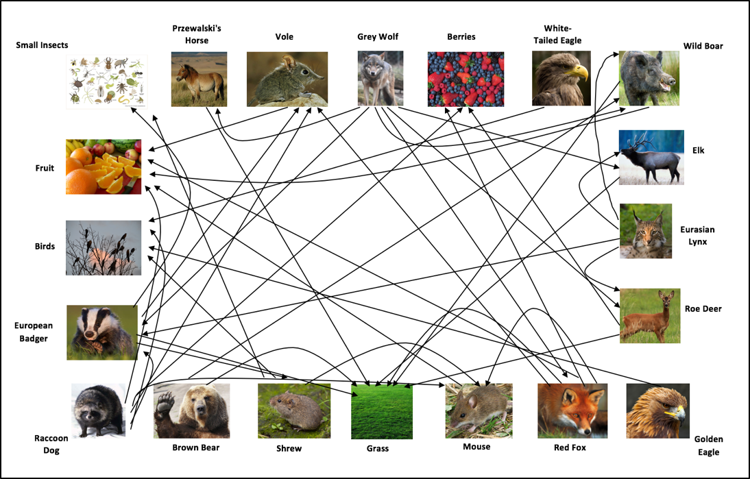 Chernobyl News Story at emaze Presentation