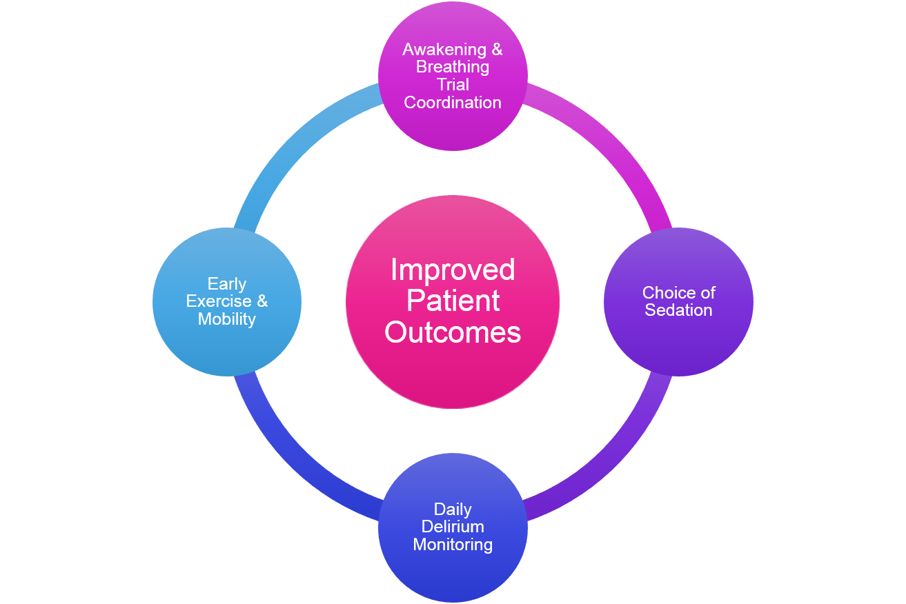 IT - Final Project - ABCDE bundle.pptx at emaze Presentation