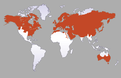 Foxx Newz at emaze Presentation
