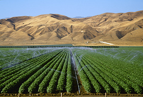 Subtropen at emaze Presentation