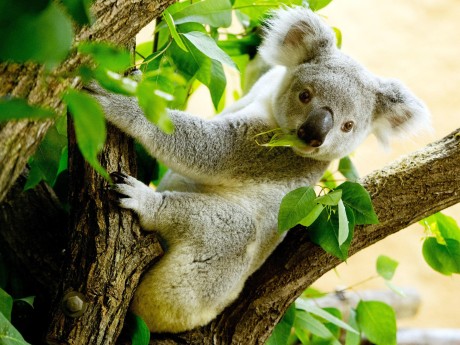 Subtropen at emaze Presentation