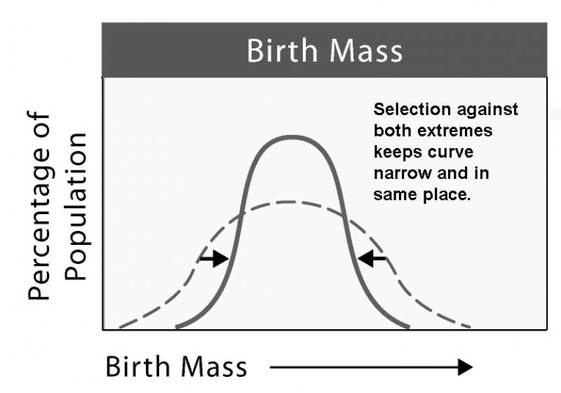 BIOLOGY at emaze Presentation