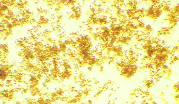 Presentation copy1 at emaze Presentation