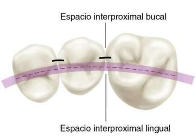 ALINEACIÓN on emaze