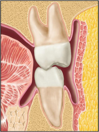 ALINEACIÓN on emaze