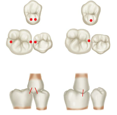ALINEACIÓN on emaze