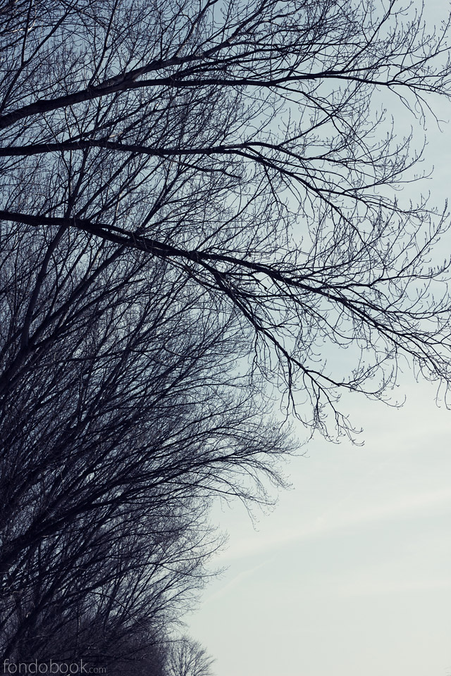 australia: at emaze Presentation