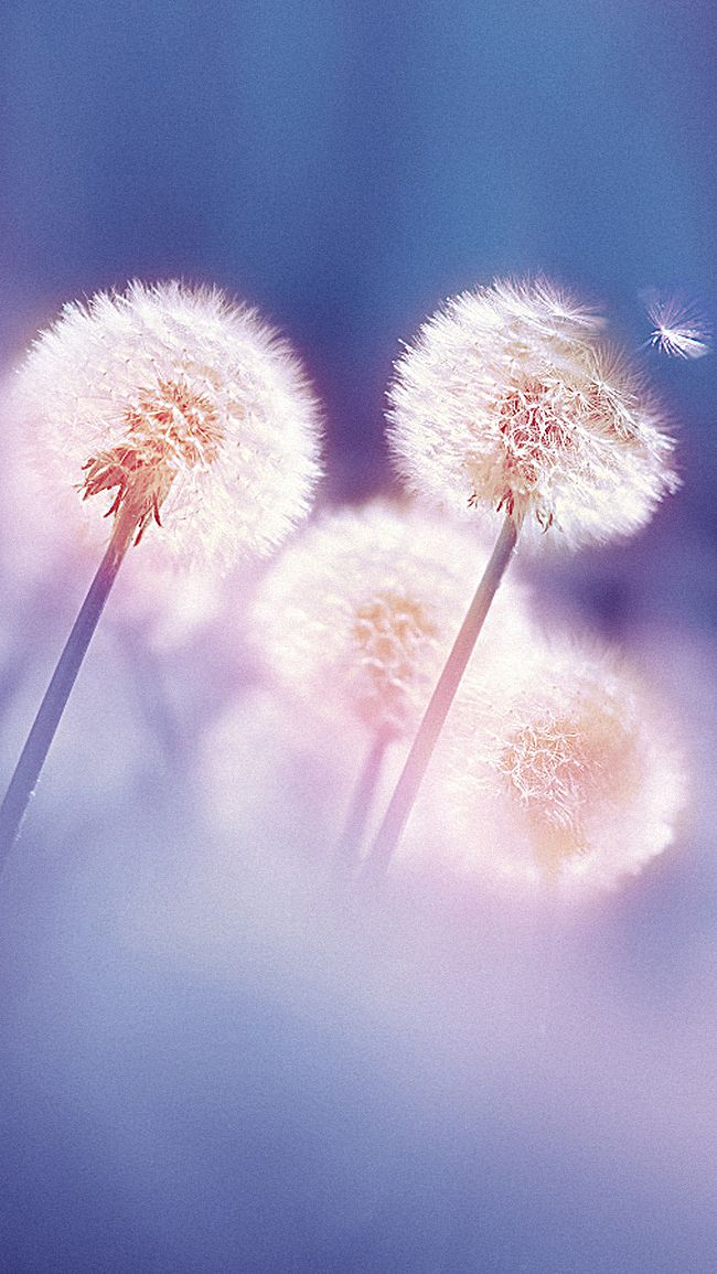 australia: at emaze Presentation