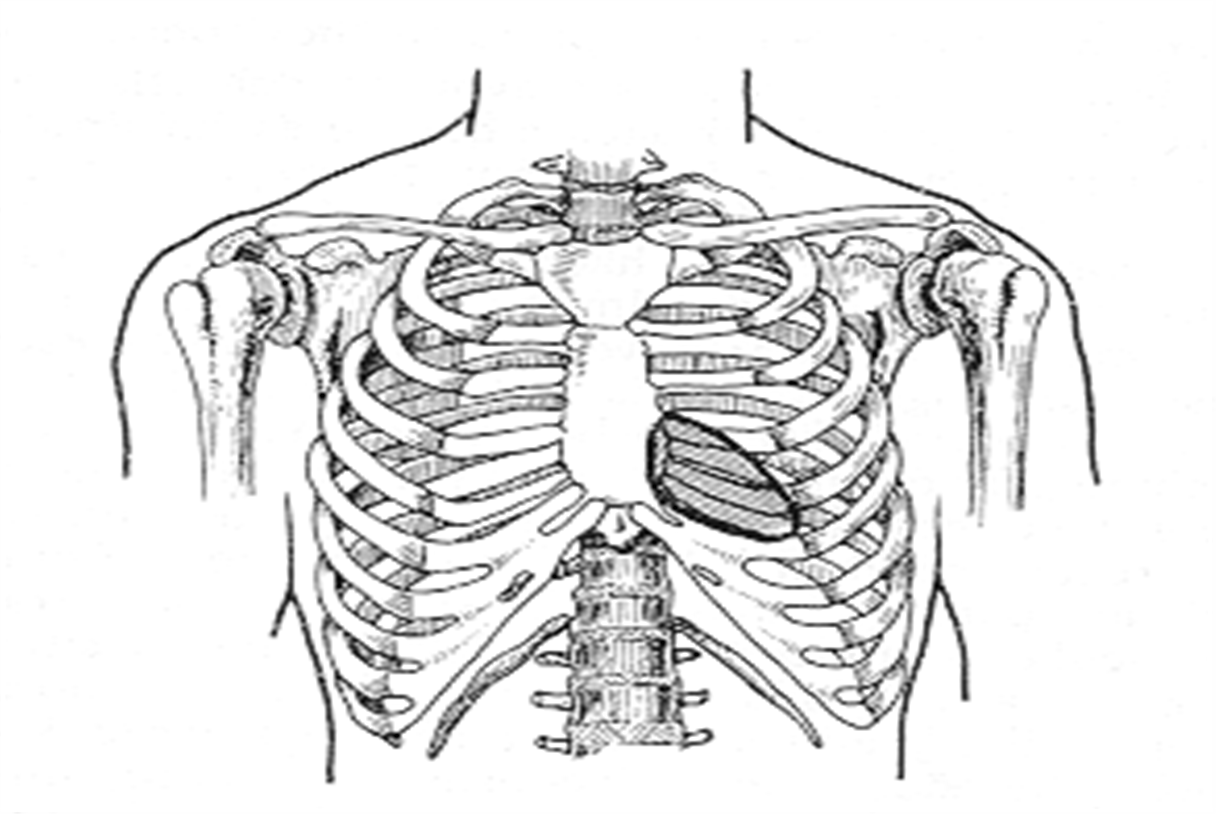Examen Físico Cardiovascular on emaze