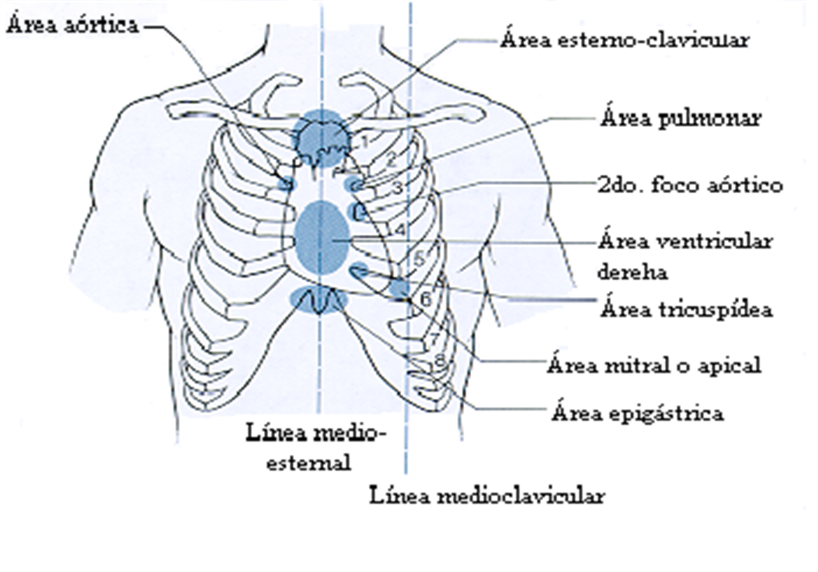 Examen Físico Cardiovascular on emaze