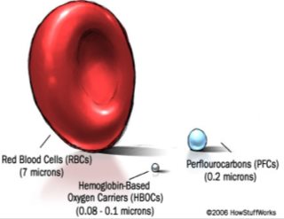 Presentation Name on emaze