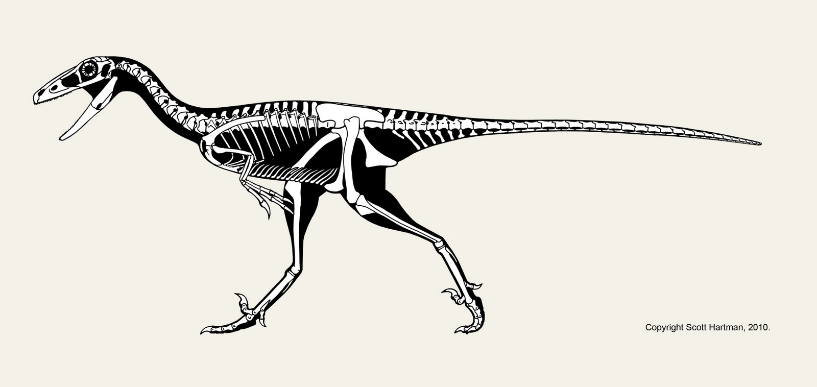 at emaze Presentation