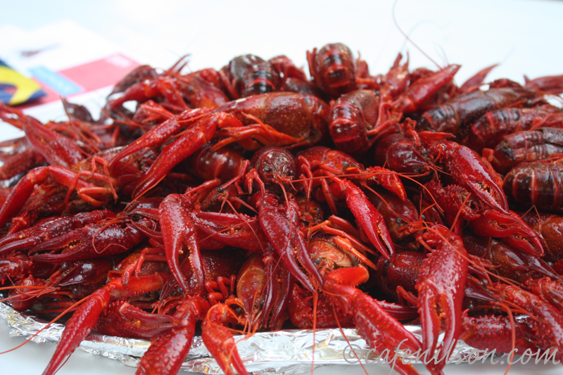 Missouri invertebrate Crayfish at emaze Presentation