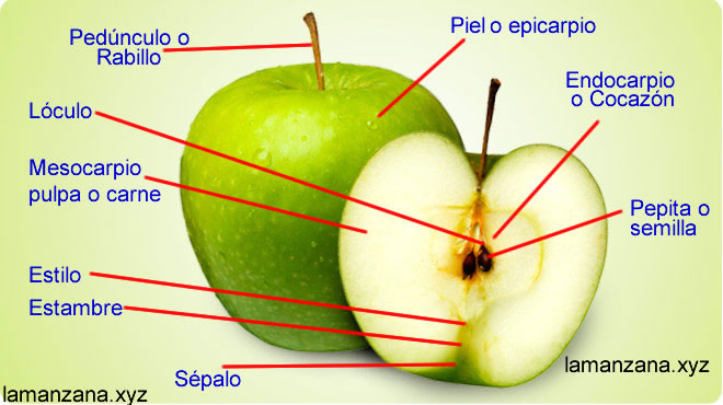 Trabajo Extra Clase on emaze