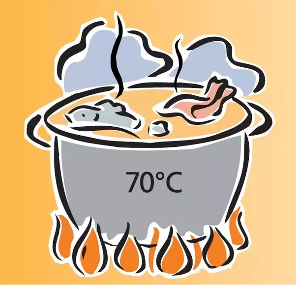 safe food for a healthy life on emaze