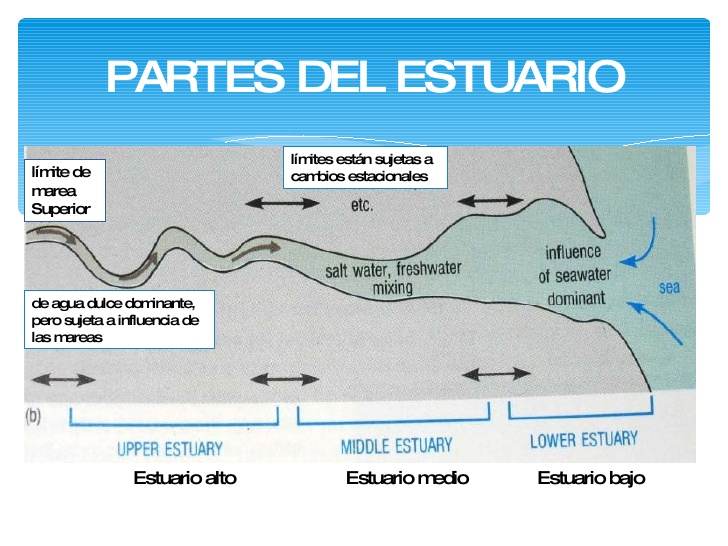 Estuarios y lagunas on emaze
