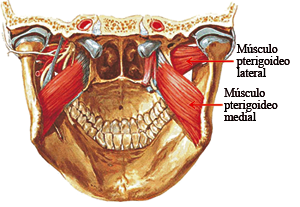 Presentation Name on emaze