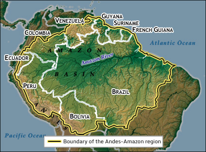 The Amazon VS The Congo at emaze Presentation