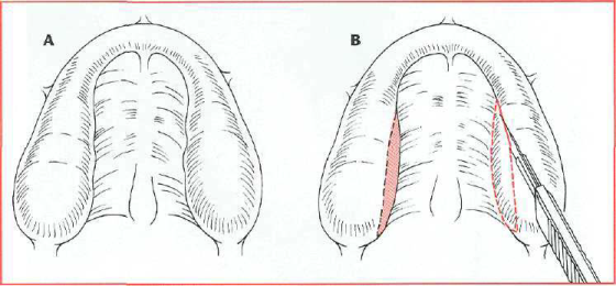 Presentation Name on emaze