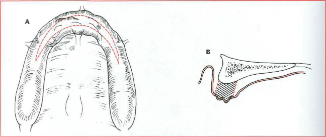 Presentation Name on emaze