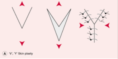 Presentation Name on emaze