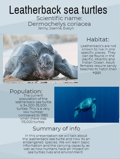 LEATHERBACK SEA TURTLE on emaze