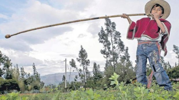 instrumentos del peru at emaze Presentation