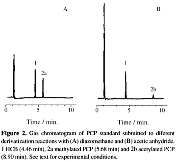 (PCP) Angel on emaze
