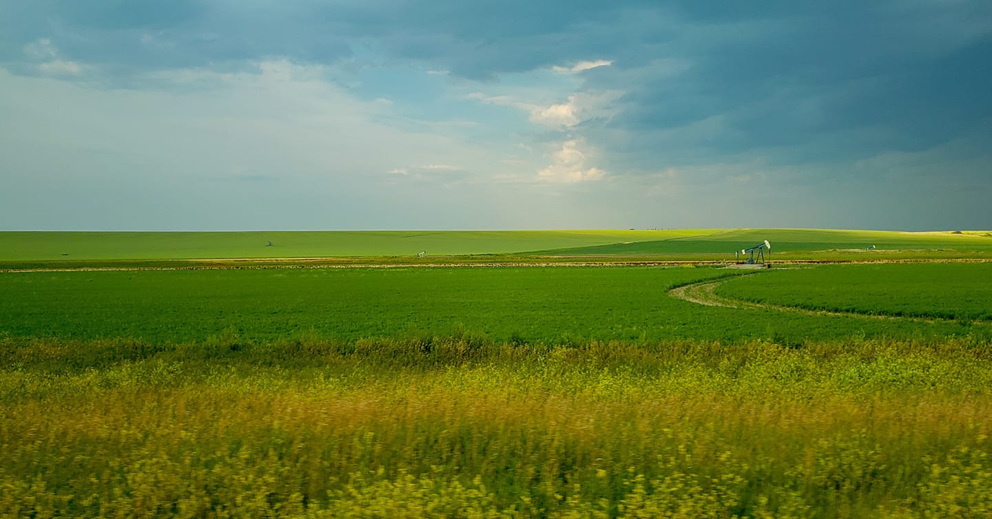 Mathias Jones at emaze Presentation