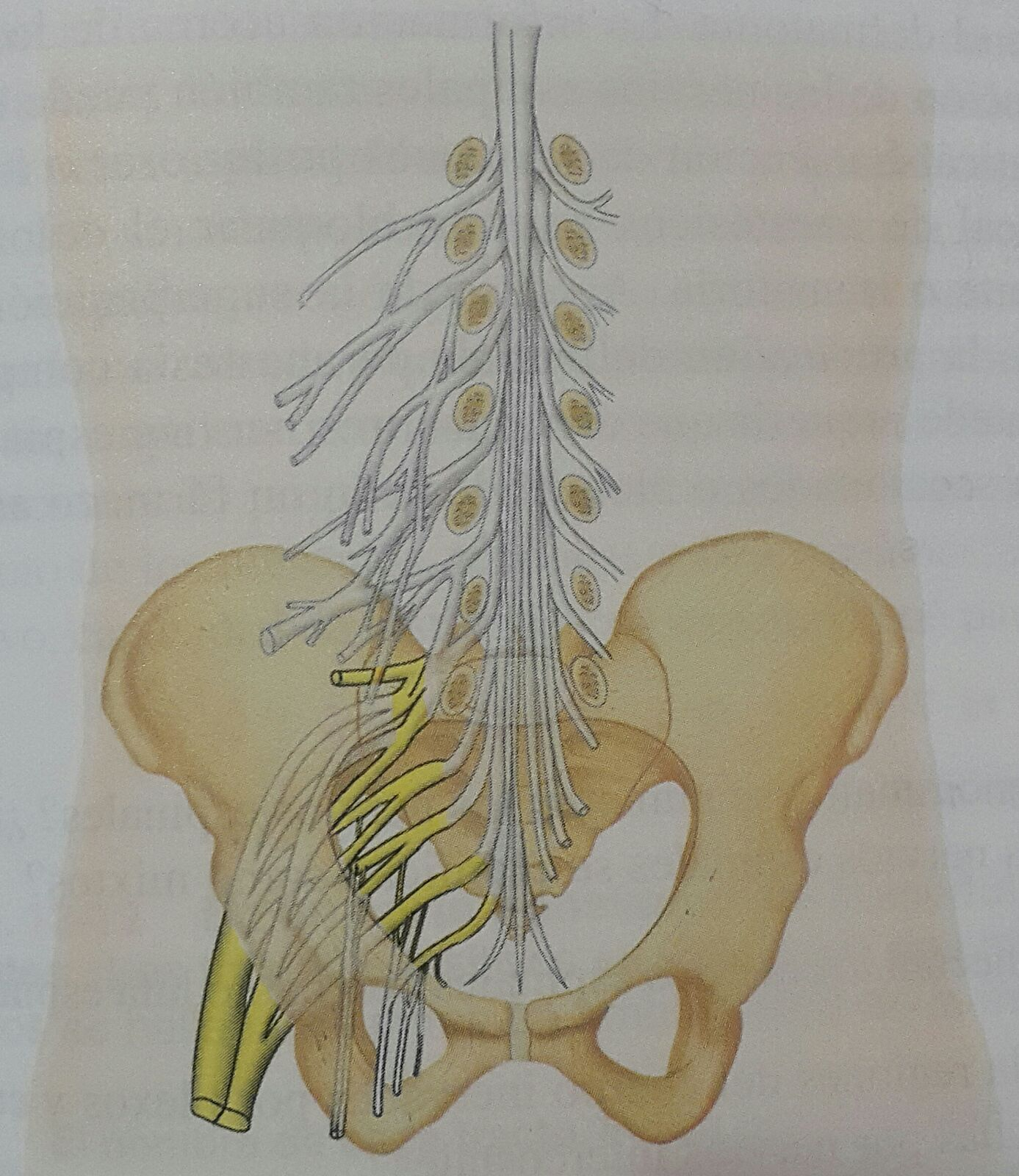 plexos at emaze Presentation