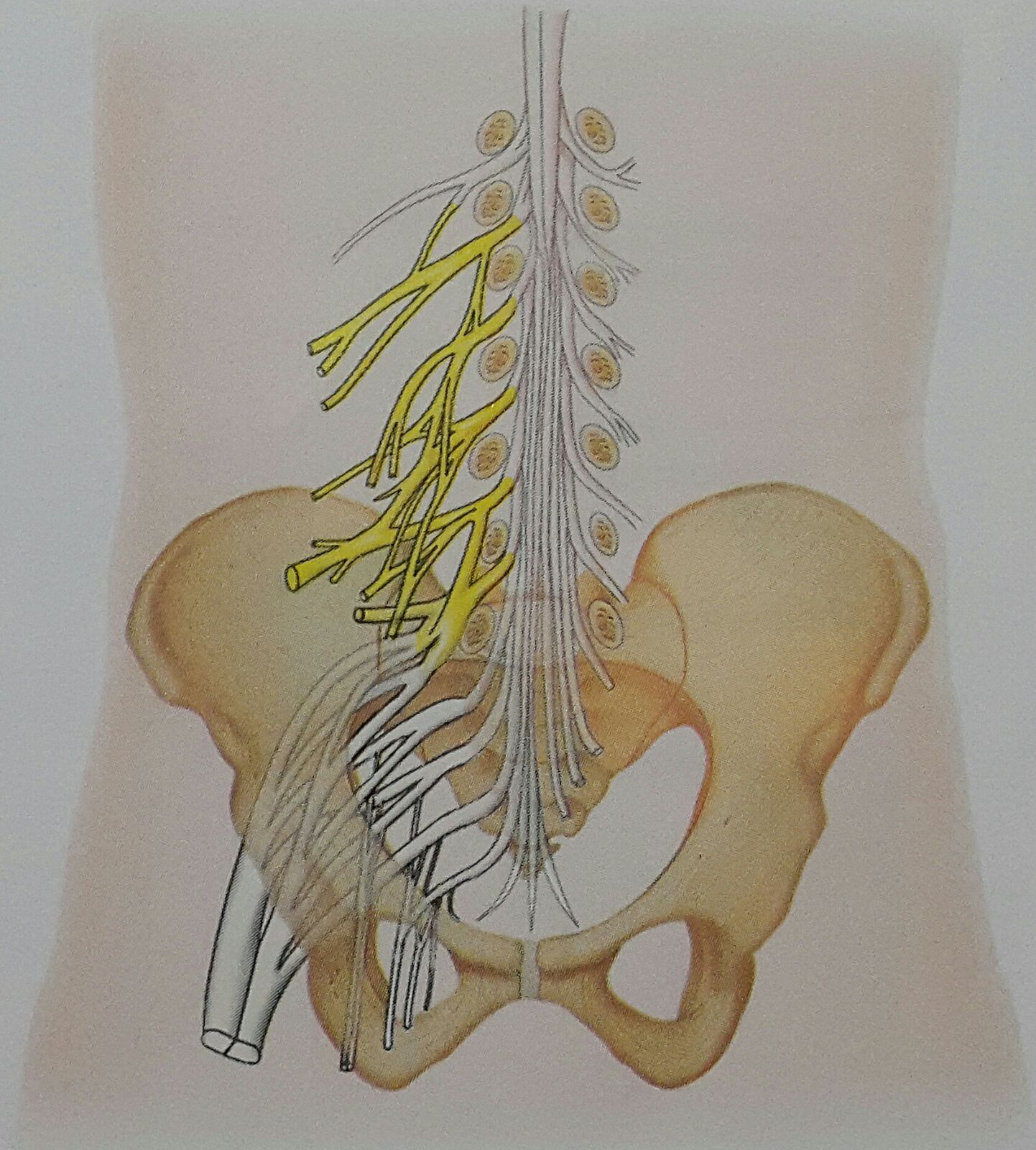 plexos at emaze Presentation