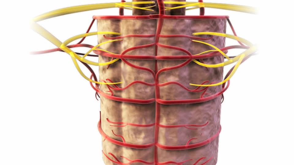 plexos at emaze Presentation