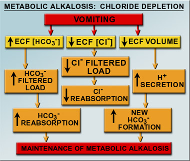 Hypochloremia at emaze Presentation
