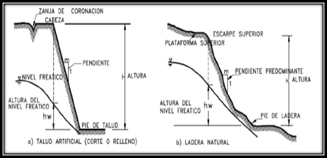 PROYECTO INTEGRADOR at emaze Presentation