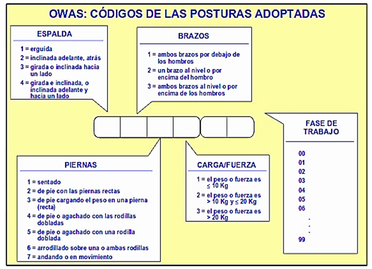 Metodo Owas Copy1 On Emaze