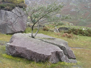 Weathering and Erosion at emaze Presentation