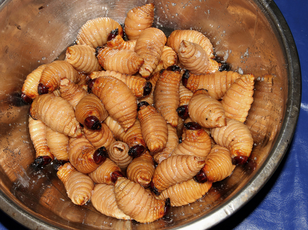 TURISMO GASTRONOMICO on emaze