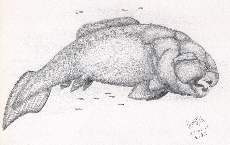 DUNKLEOSTEUS on emaze