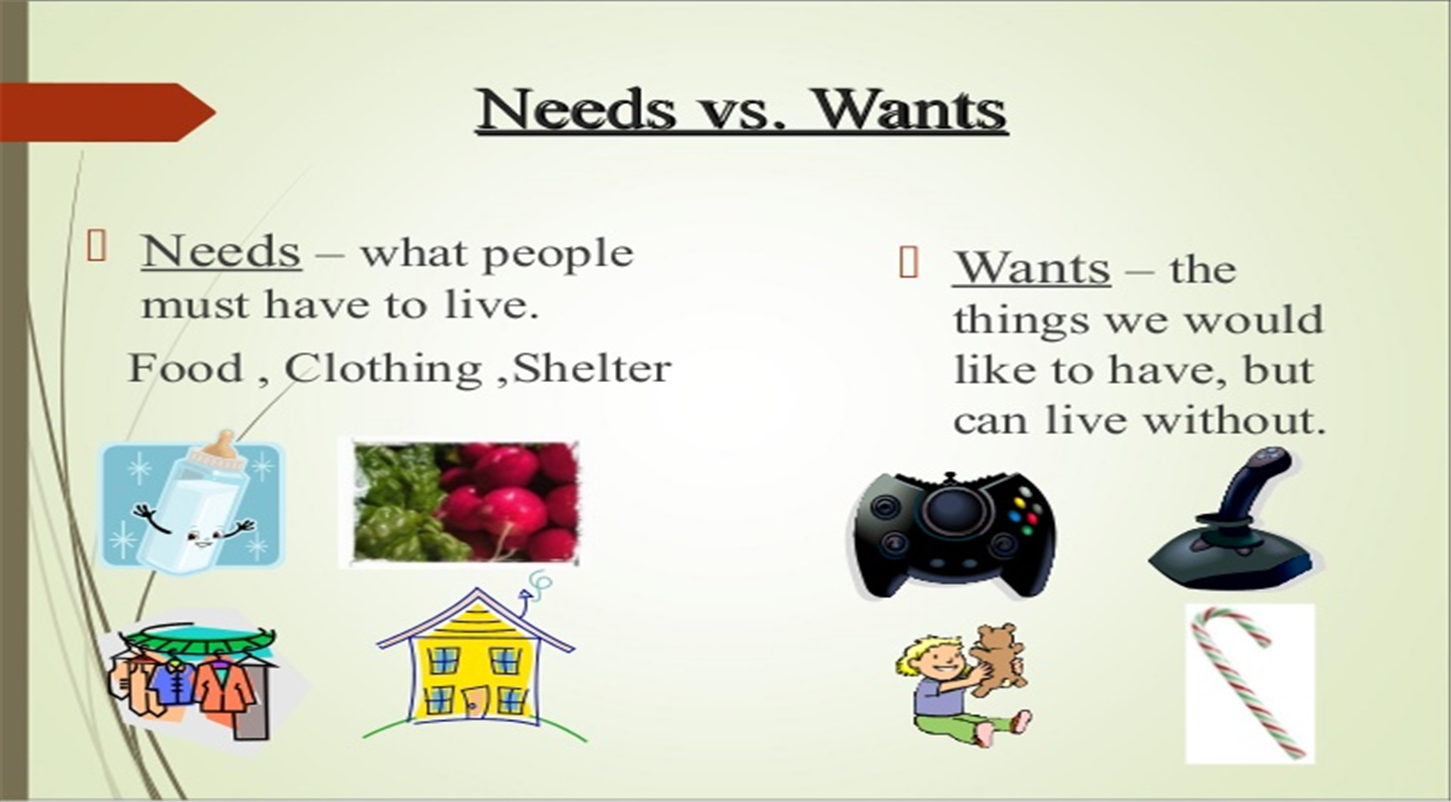 Basic Needs of Living Things at emaze Presentation