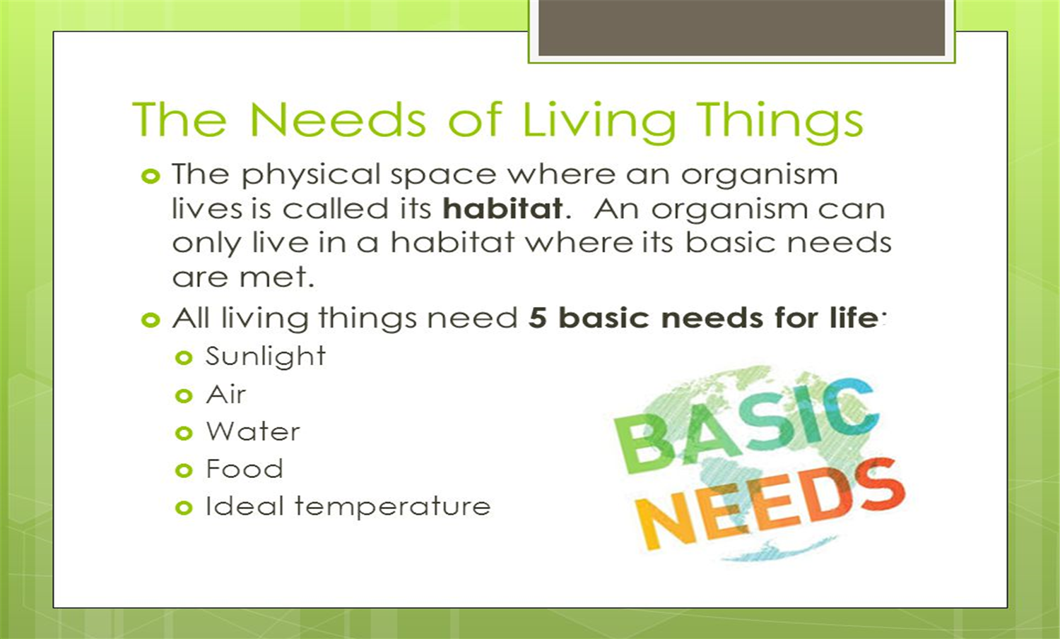 Basic Needs of Living Things at emaze Presentation
