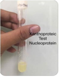 Protein Chemistry at emaze Presentation