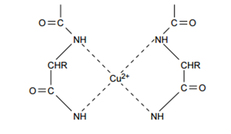 Protein Chemistry at emaze Presentation
