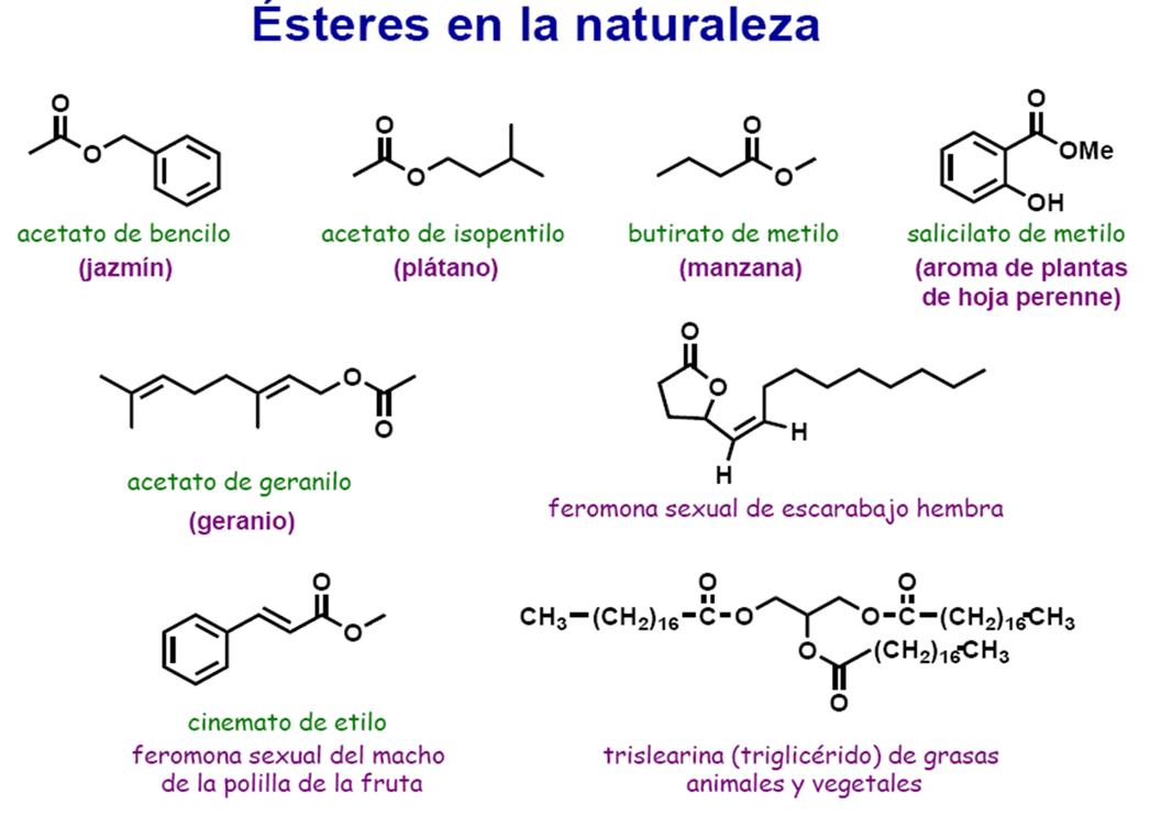ÉSTERES copy1 at emaze Presentation
