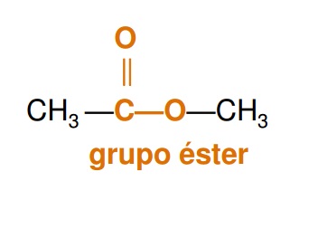 ÉSTERES copy1 on emaze